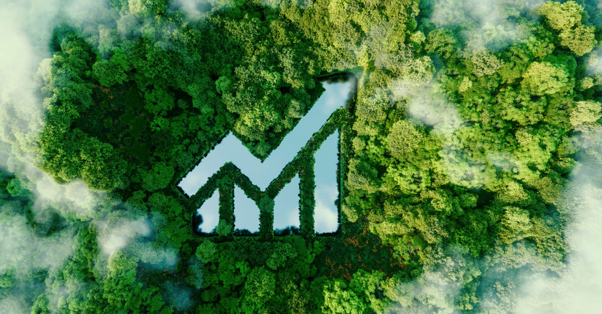 The Basics of Green Investing - Start Healthy