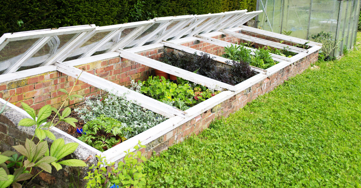 Eco-Friendly Ideas for a Bug-Free Garden - Start Healthy